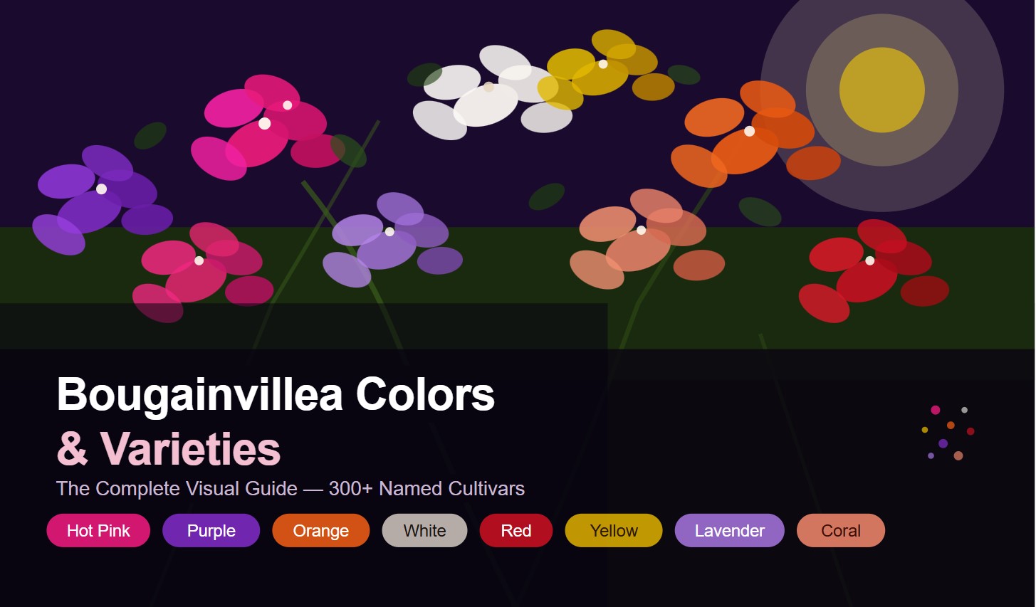 Bougainvillea Colors & Varieties: The Complete Visual Guide - Keep On Home
